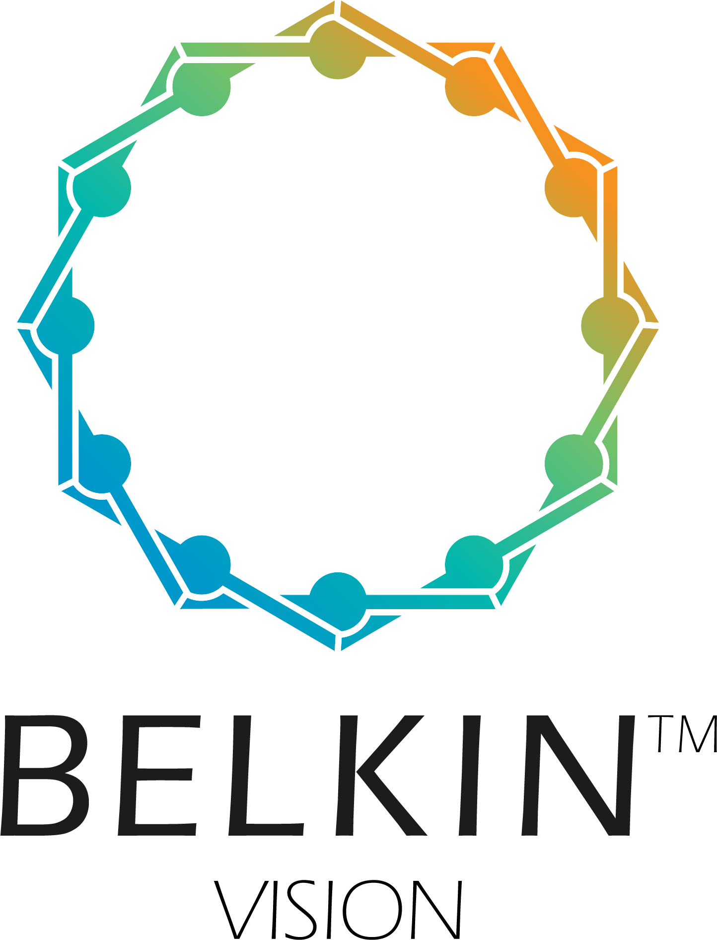 BELKIN Vision - ARC-Sheba